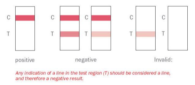 Quick Check Home Urine Test Kit , OTC Std Test Kit Simple Operation